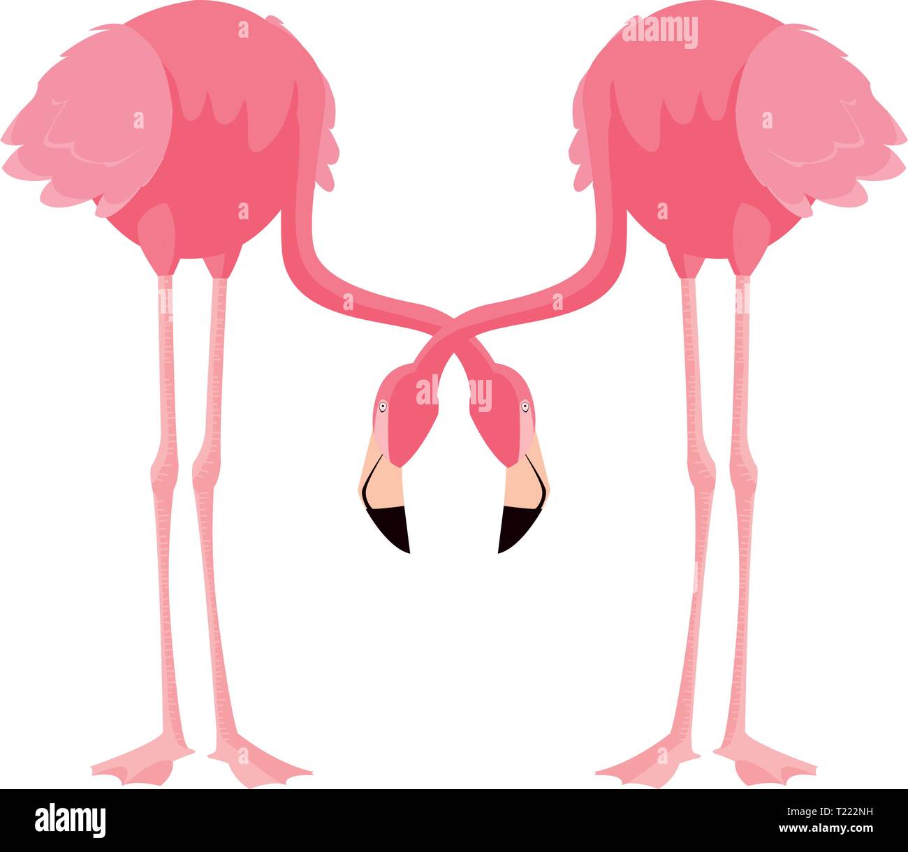 elegant flamingo birds couple vector illustration design Stock Vector ...