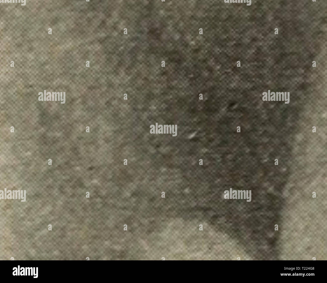 Archive image from page 54 of Dingee guide to rose culture Stock Photo ...