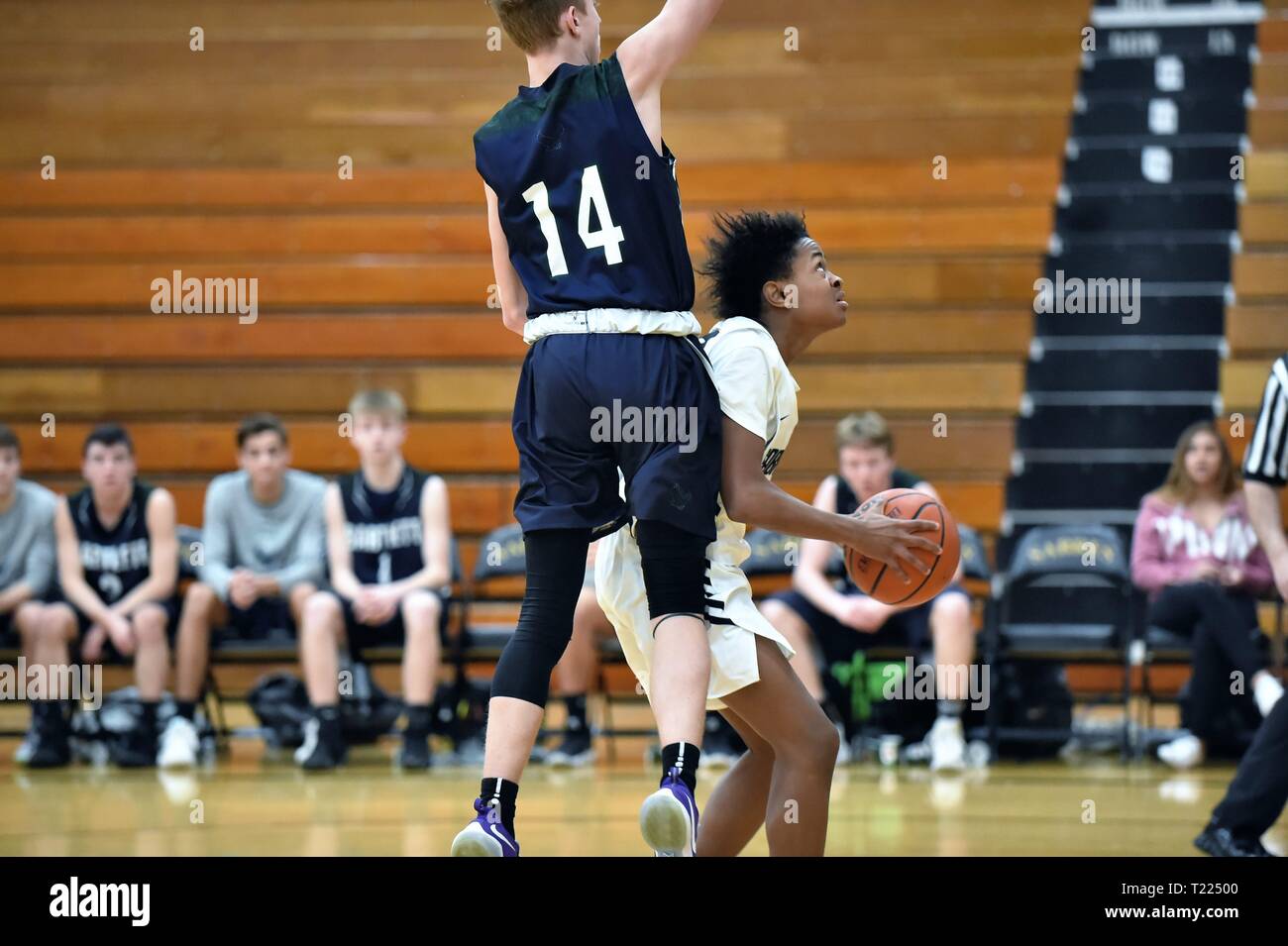 Fake fakes hi-res stock photography and images - Alamy