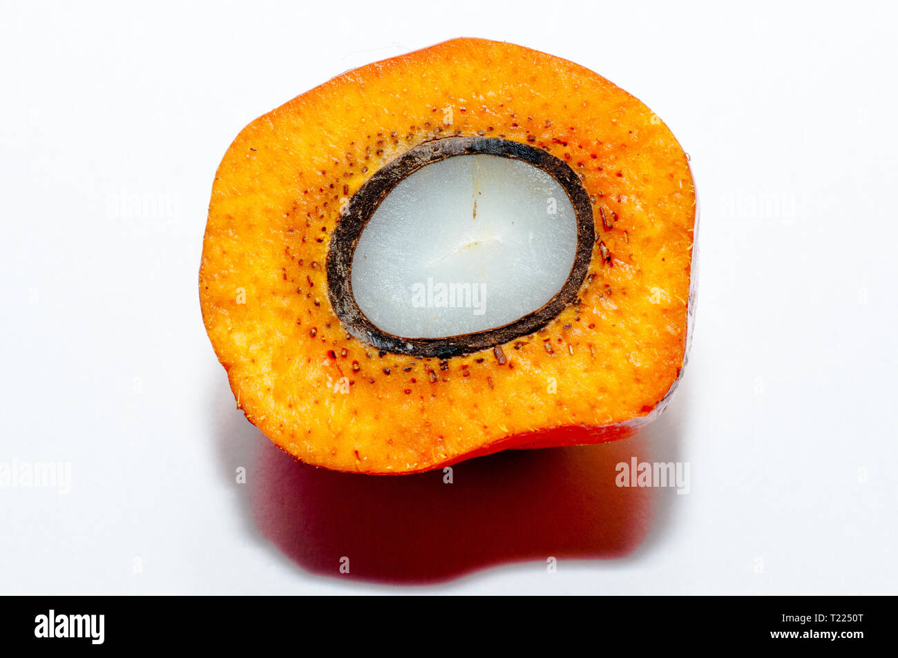 Cross section analysis hi-res stock photography and images - Alamy