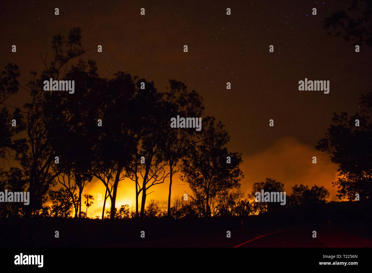 car driving away from a bushfire, forest are really bright because of ...