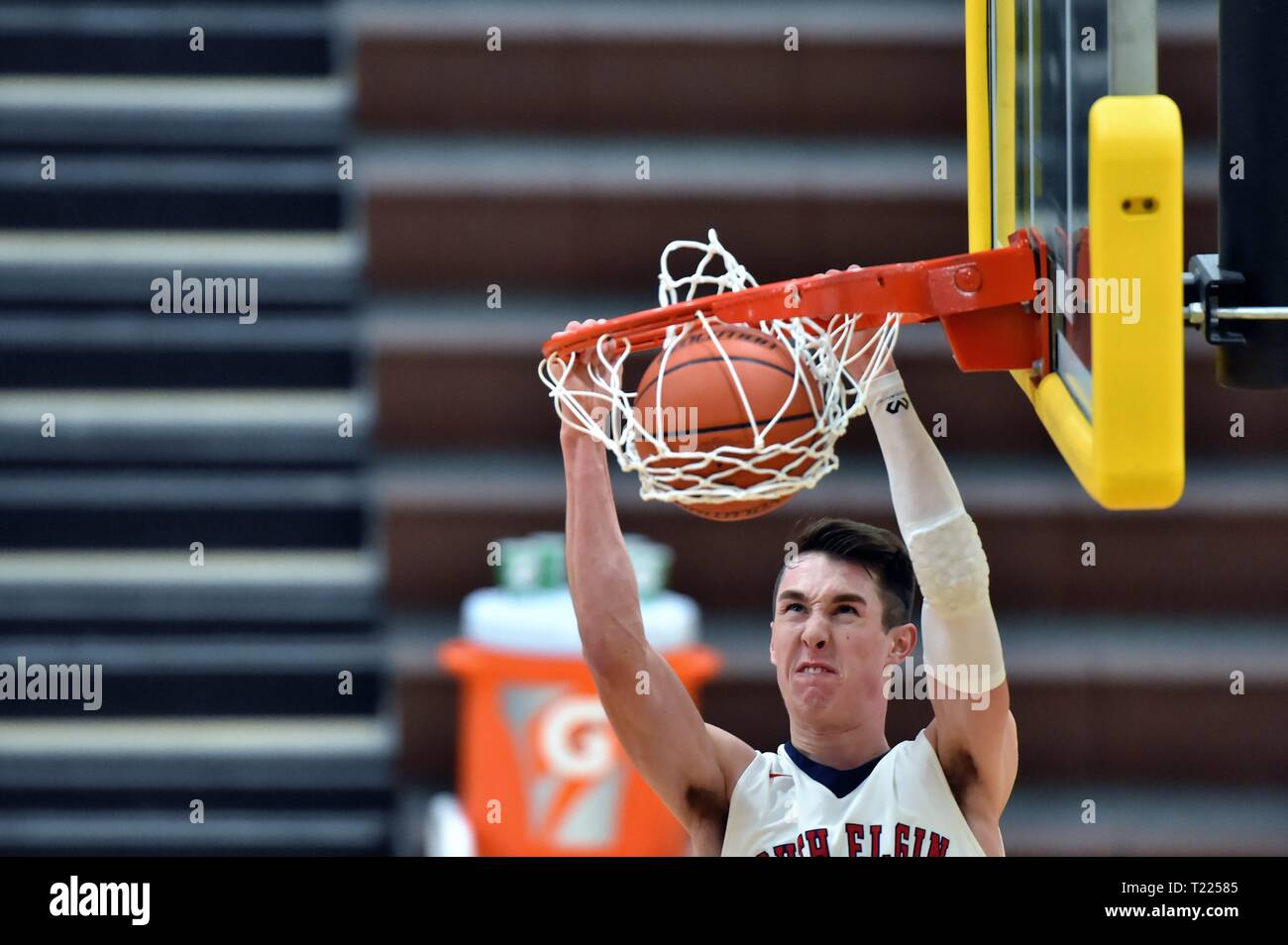 American settle hi-res stock photography and images - Alamy