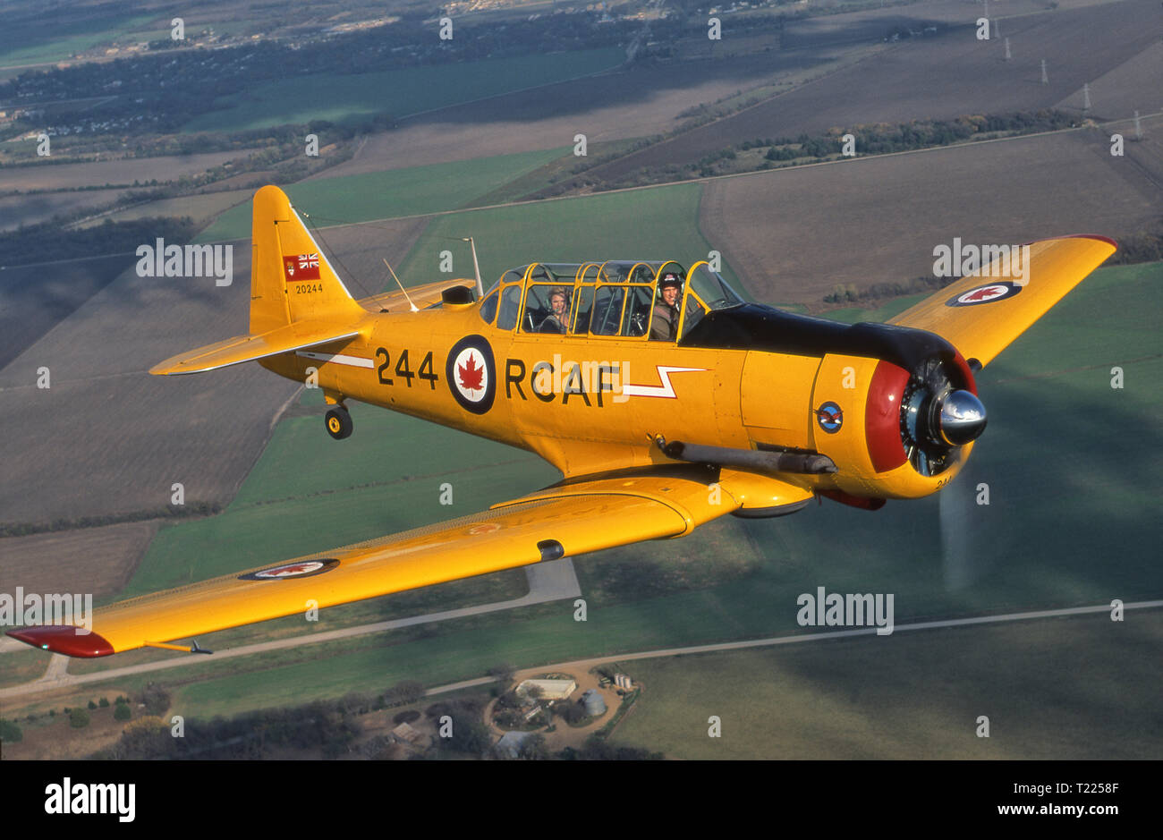 Snj navy trainer hi-res stock photography and images - Alamy