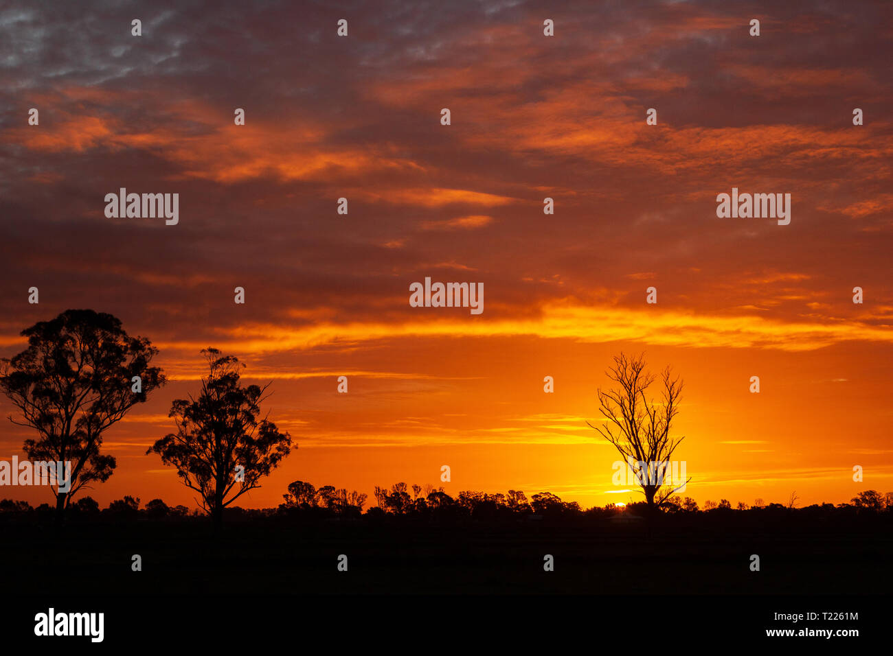 Stanthorpe queensland hi-res stock photography and images - Alamy