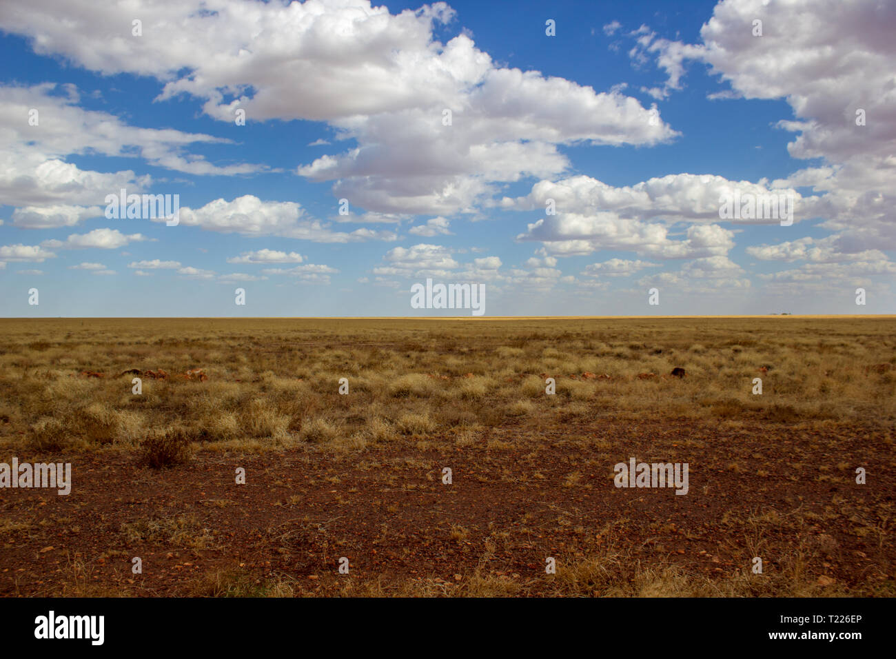Outback scenery in the Northern Territory of Australia Stock Photo - Alamy