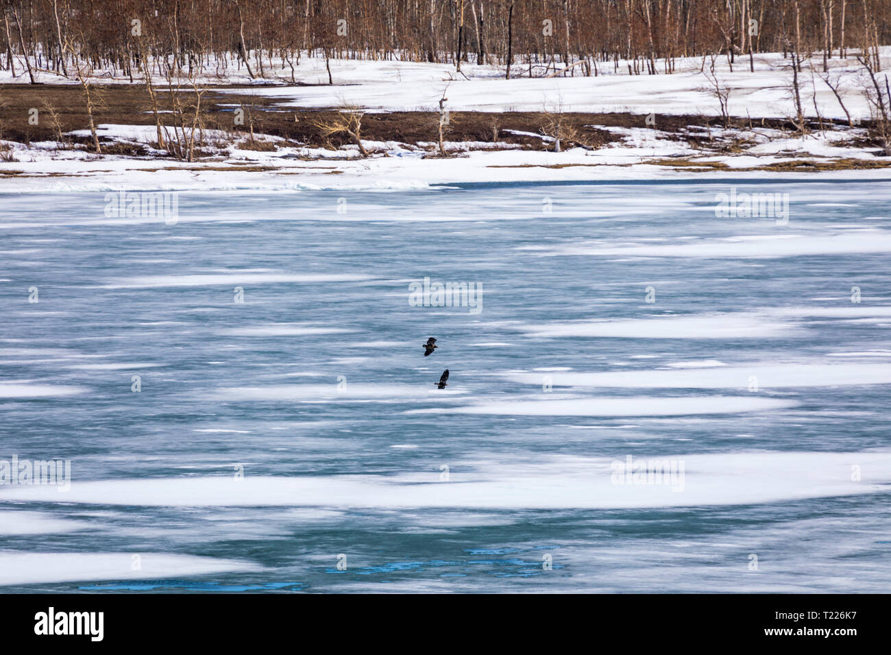 Ice on waterton hi-res stock photography and images - Alamy