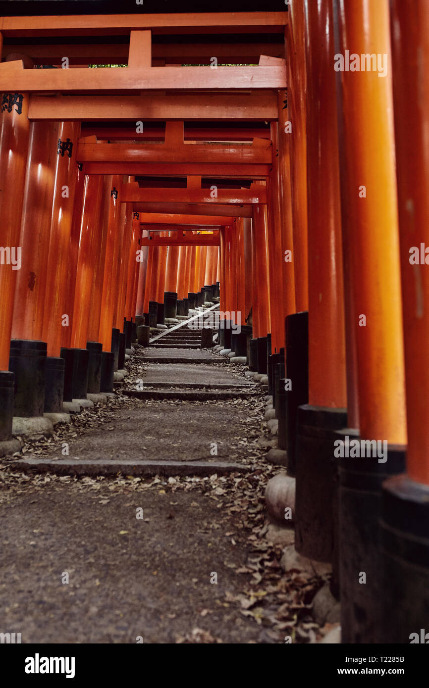 Walking through a path of Torii at the Fushimi Inari-Taisha shrine in ...