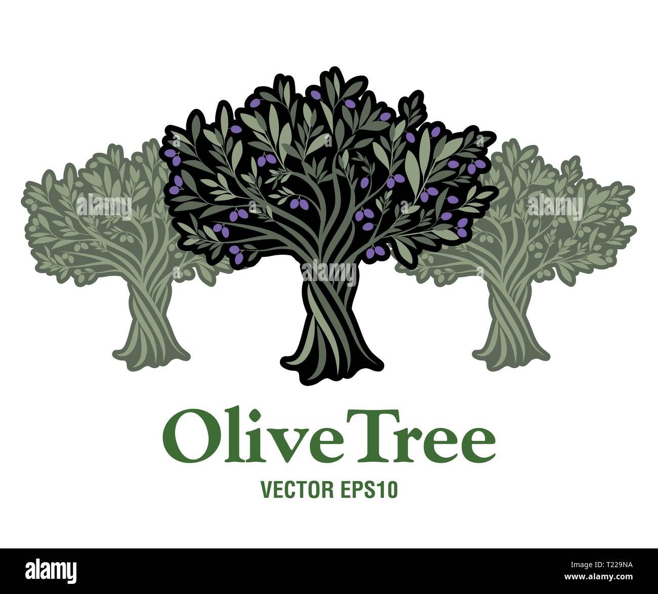Olive Tree. Extra virgin olive oil symbol. Symbol of culture and ...