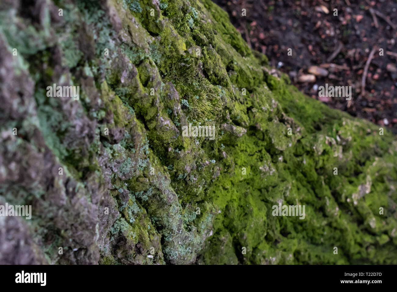 Park perspective hi-res stock photography and images - Alamy