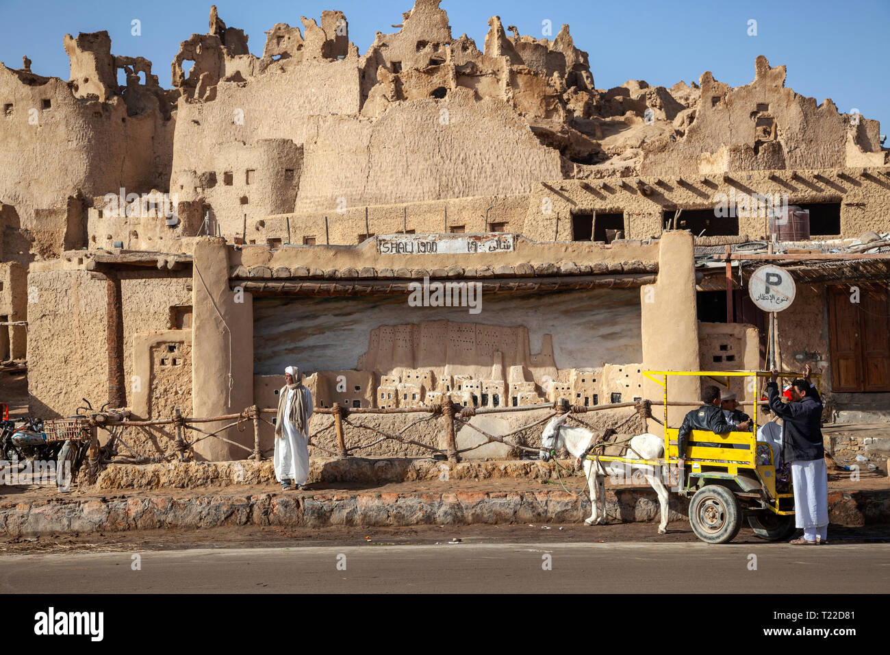 View of the city center of Siva oasis and Shali fortress in the Sahara ...