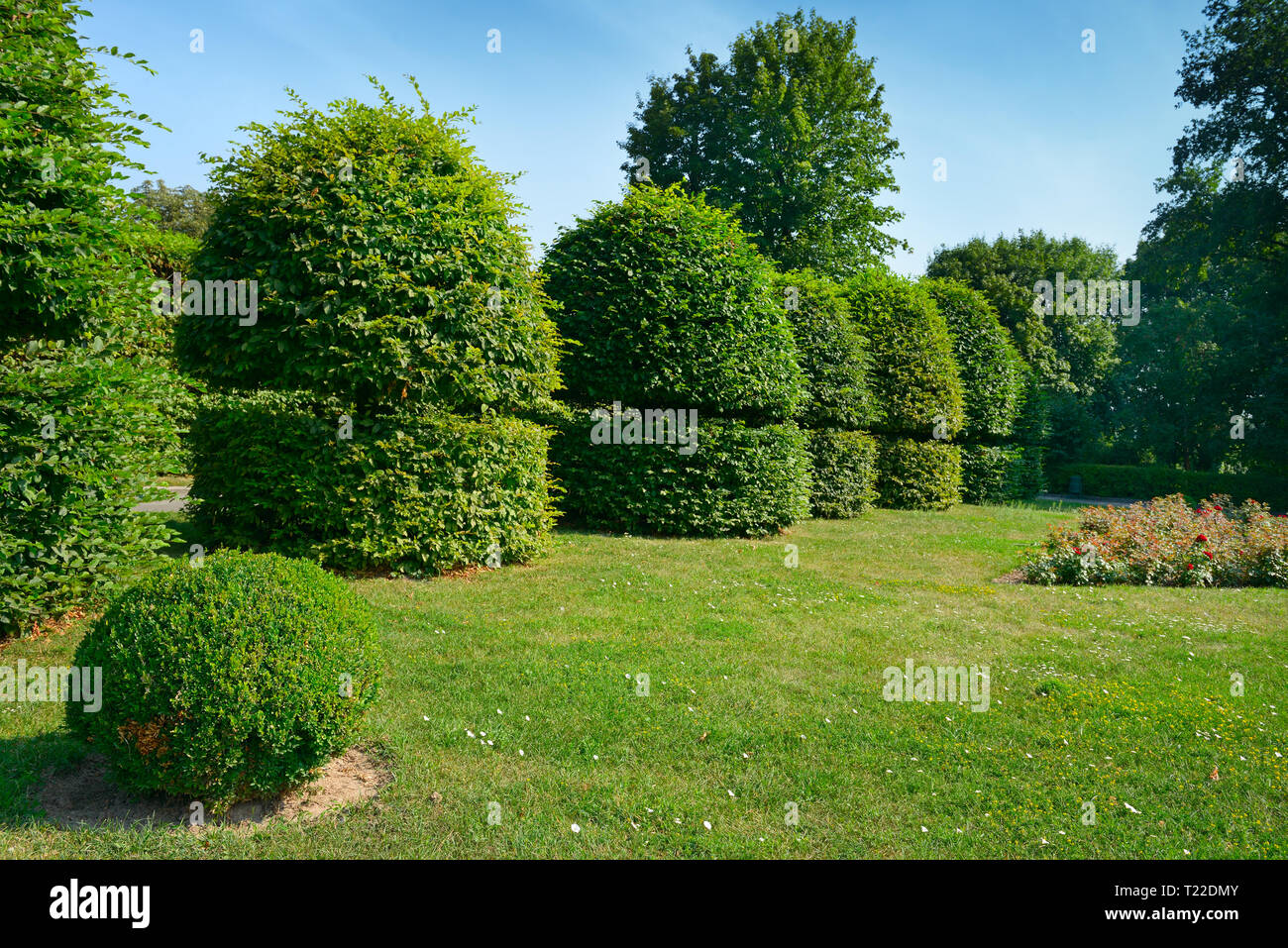 Nature green grass trees bush shrub flora landscape hi-res stock ...