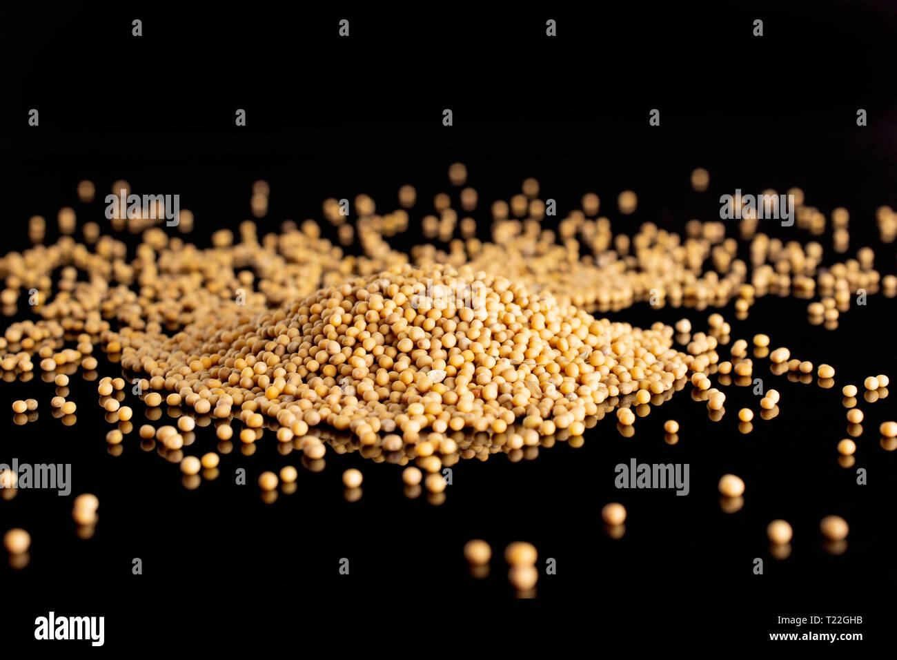 Lot of whole white mustard seeds stack isolated on black glass Stock ...
