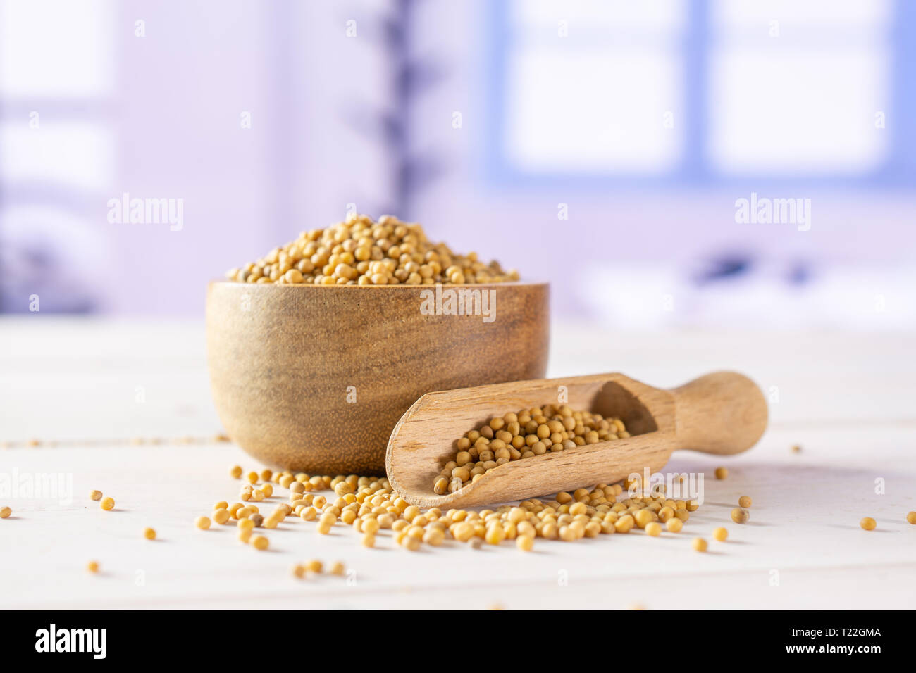 Lot of whole white mustard seeds with wooden bowl and wooden scoop with ...
