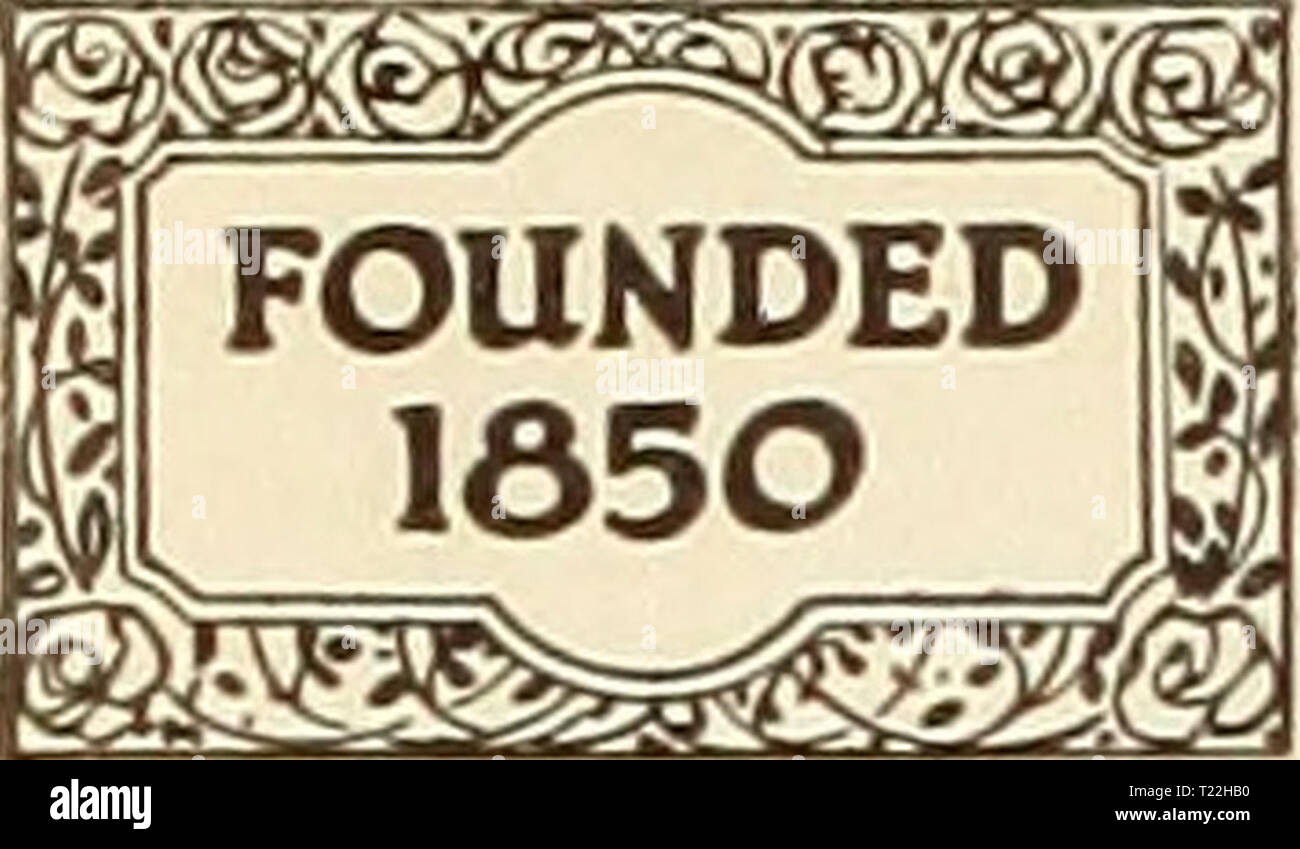 Archive image from page 5 of Dingee guide to rose culture Stock Photo ...