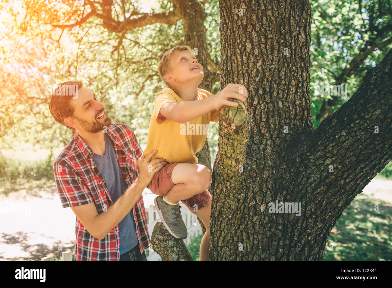 Happy father is helping his son to climb up the tree. Fearless boy is ...