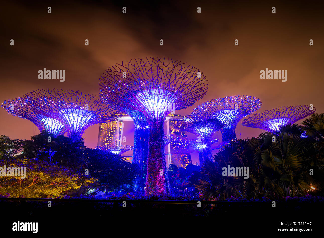 Singapore, Marina Bay, Gardens by the Bay, Super trees at night Stock ...