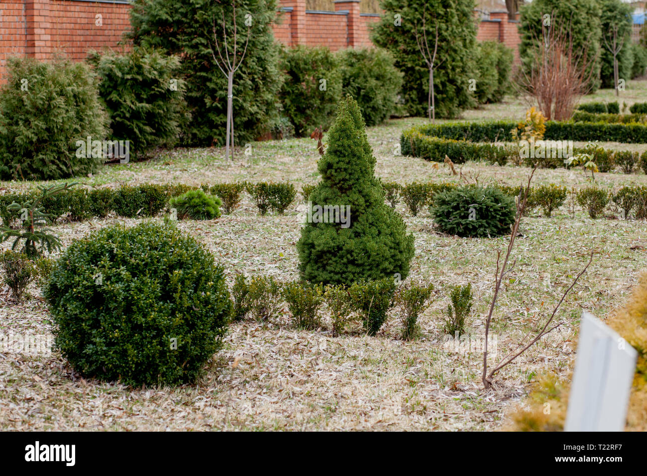 Natural landscaping panorama in home garden. Beautiful view of ...