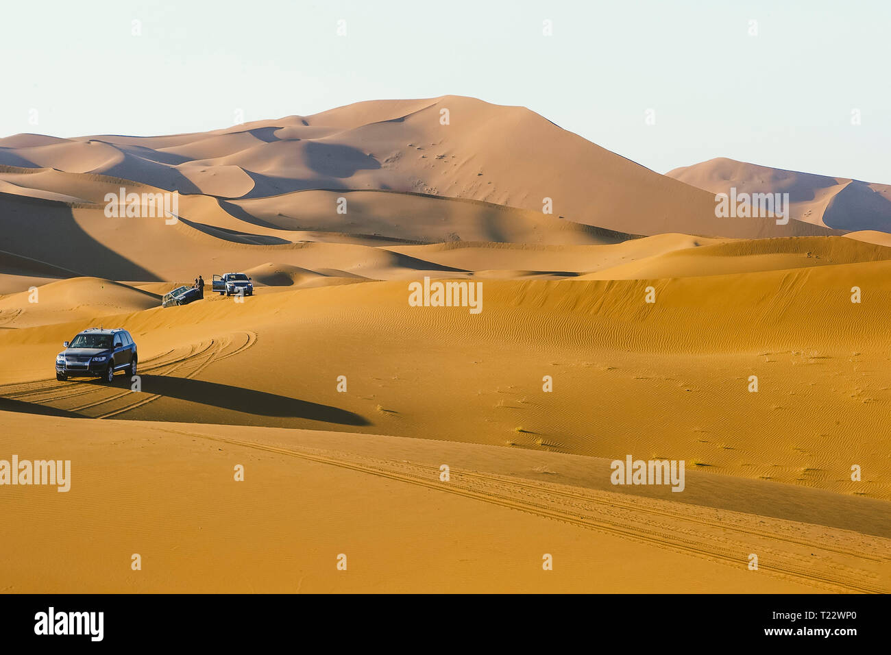 Morocco, desert, off-road vehicles on dune Stock Photo - Alamy