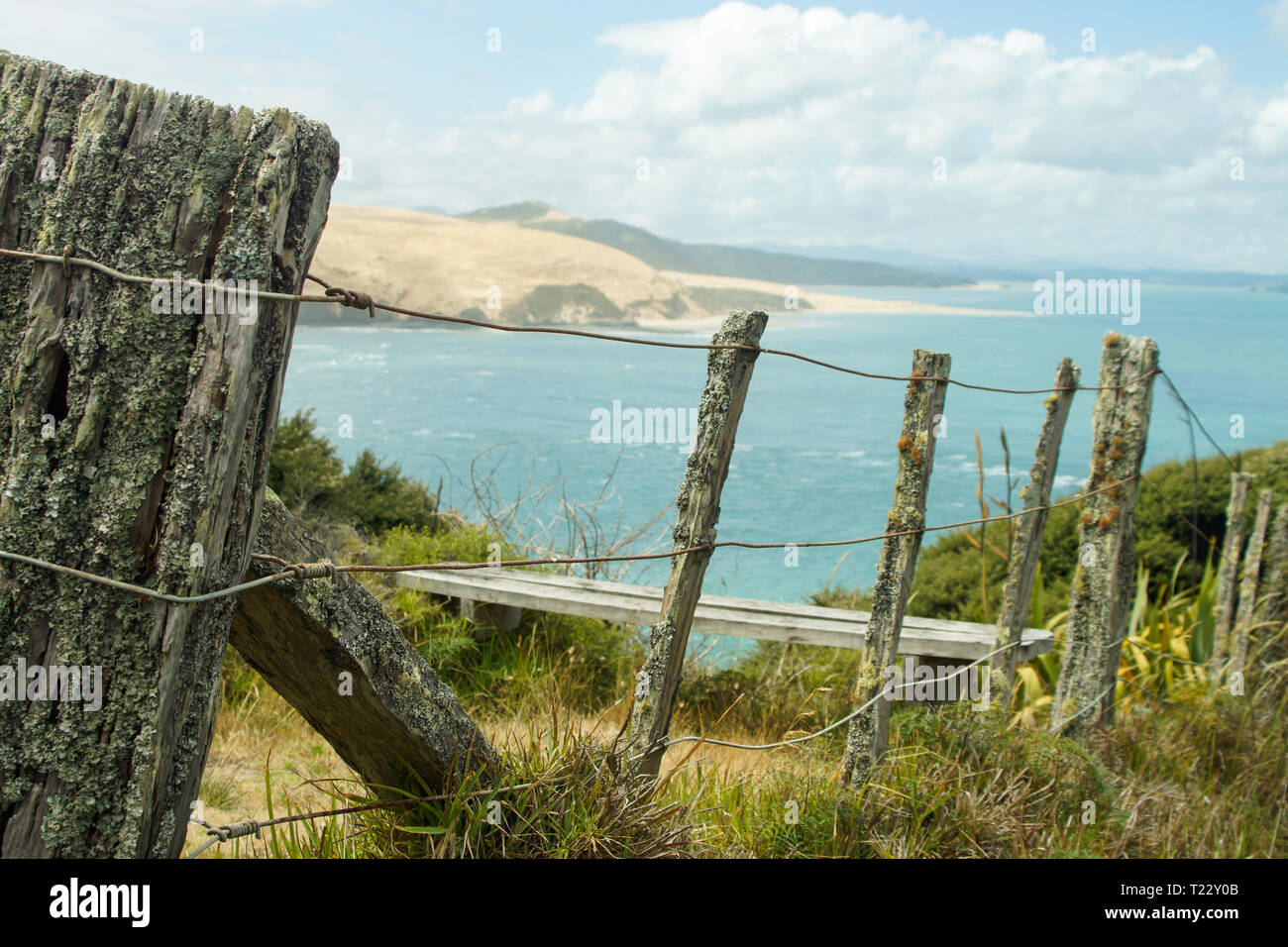 New Zealand, Northland, Tasman Sea, fence at day Stock Photo - Alamy