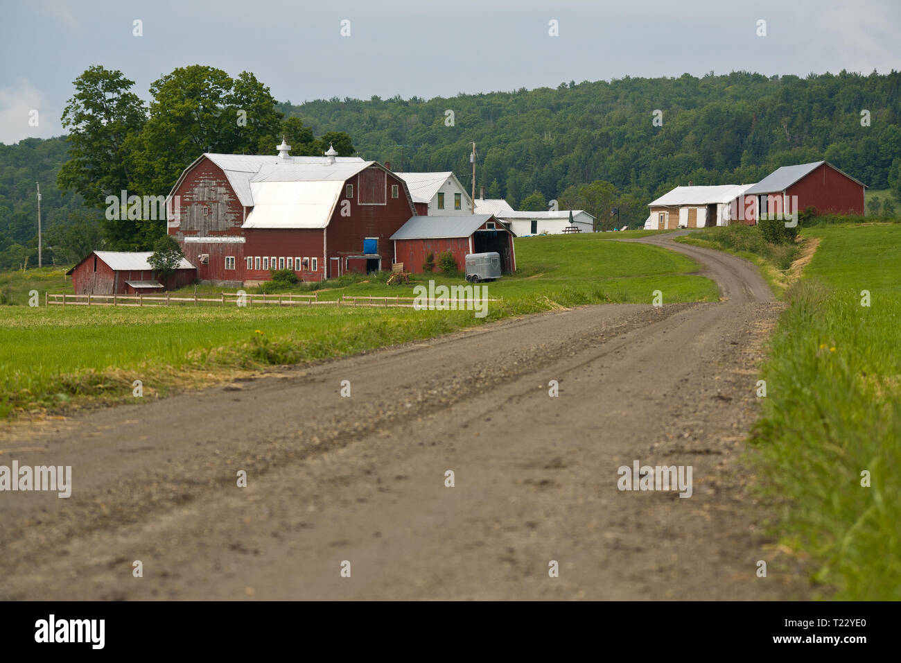 Red Barns and Dirt Road in Kirby, Caledonia County, Vermont, USA Stock ...