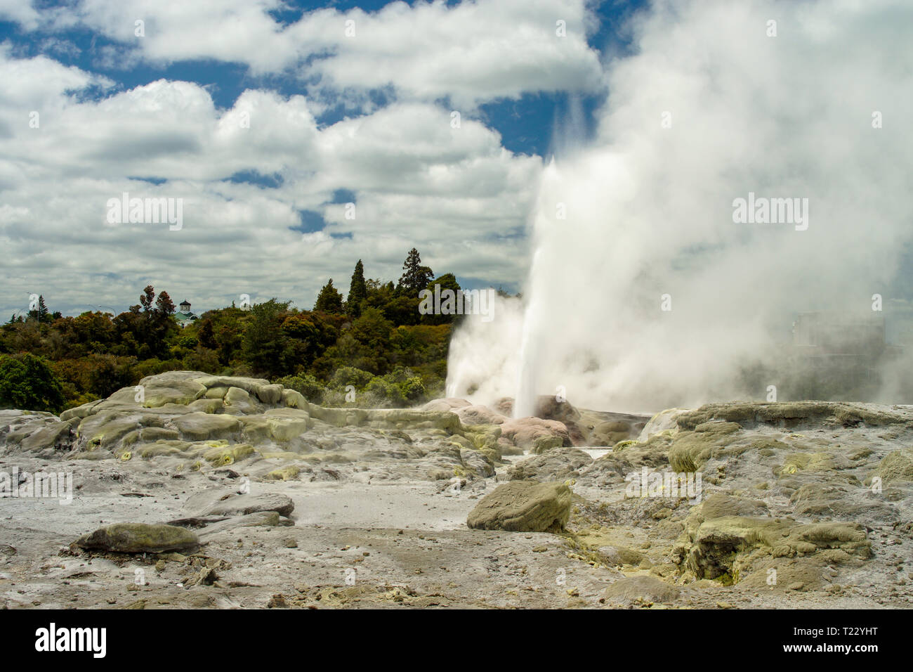 New Zealand, Rotorua, Te Puia Stock Photo - Alamy