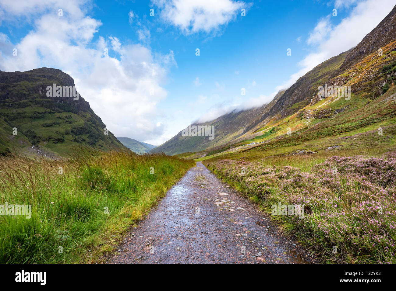 Scottish hiking hi-res stock photography and images - Alamy