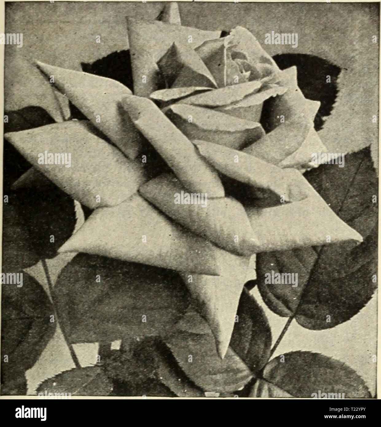 Faint marks hi-res stock photography and images - Alamy