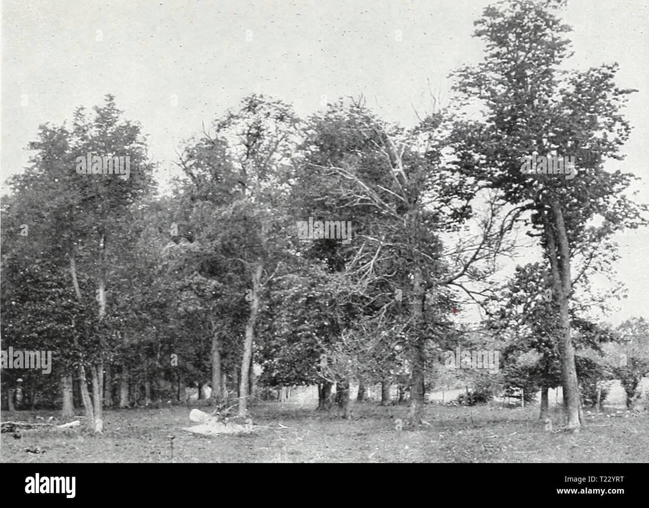 Improper agriculture hi-res stock photography and images - Alamy