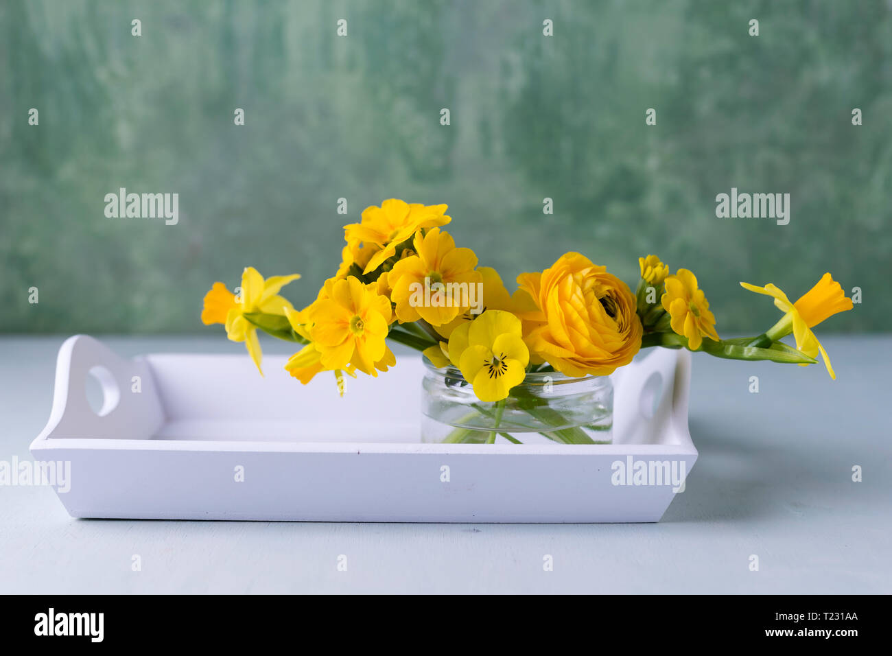 Persian buttercup, daffodil, primrose and horned violet in glass on ...
