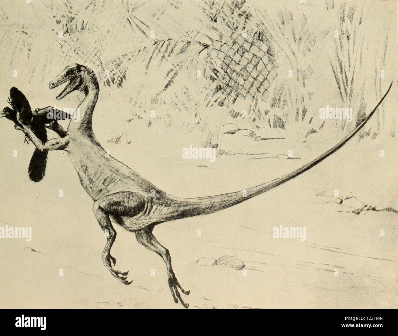 Ornitholestes Dinosaur Revolution
