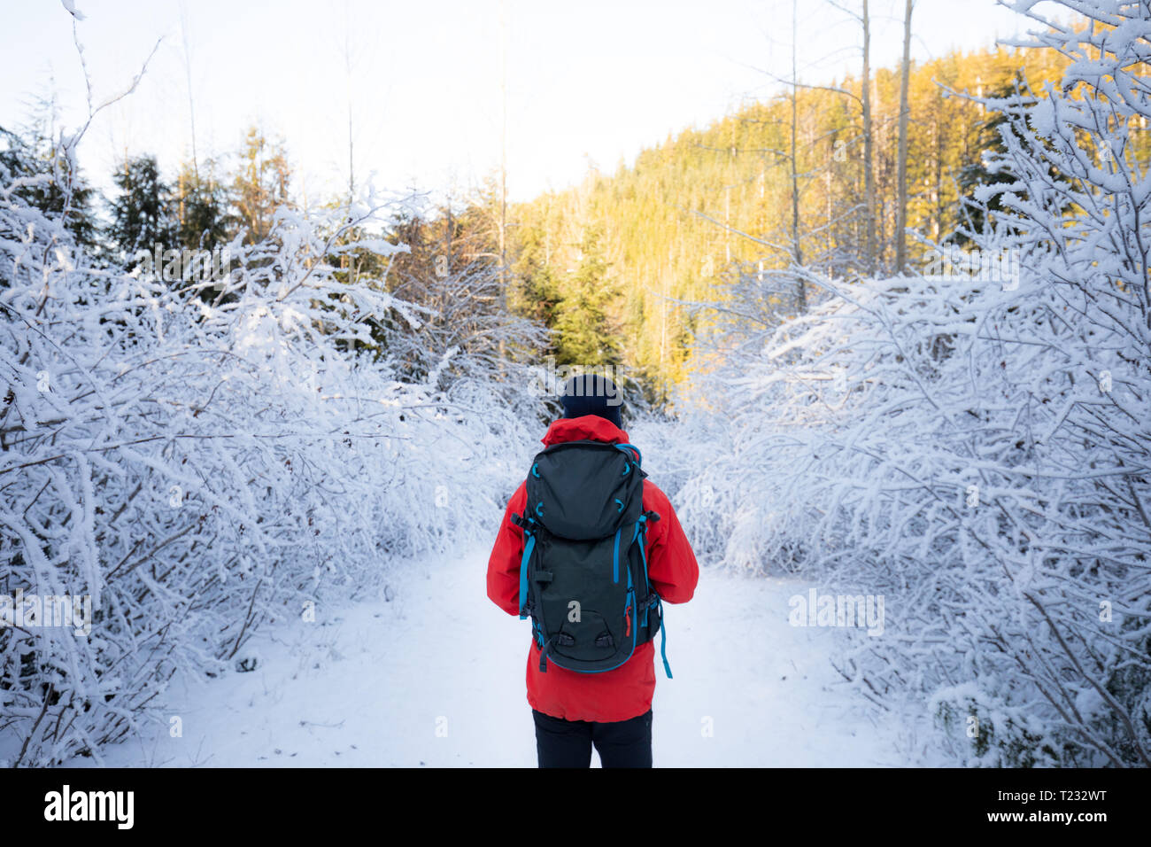 Man hiking through a snowy and icy path Stock Photo - Alamy