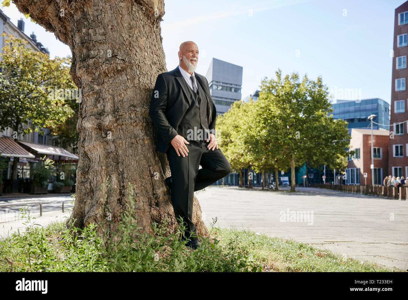 Thinking tree hi-res stock photography and images - Alamy