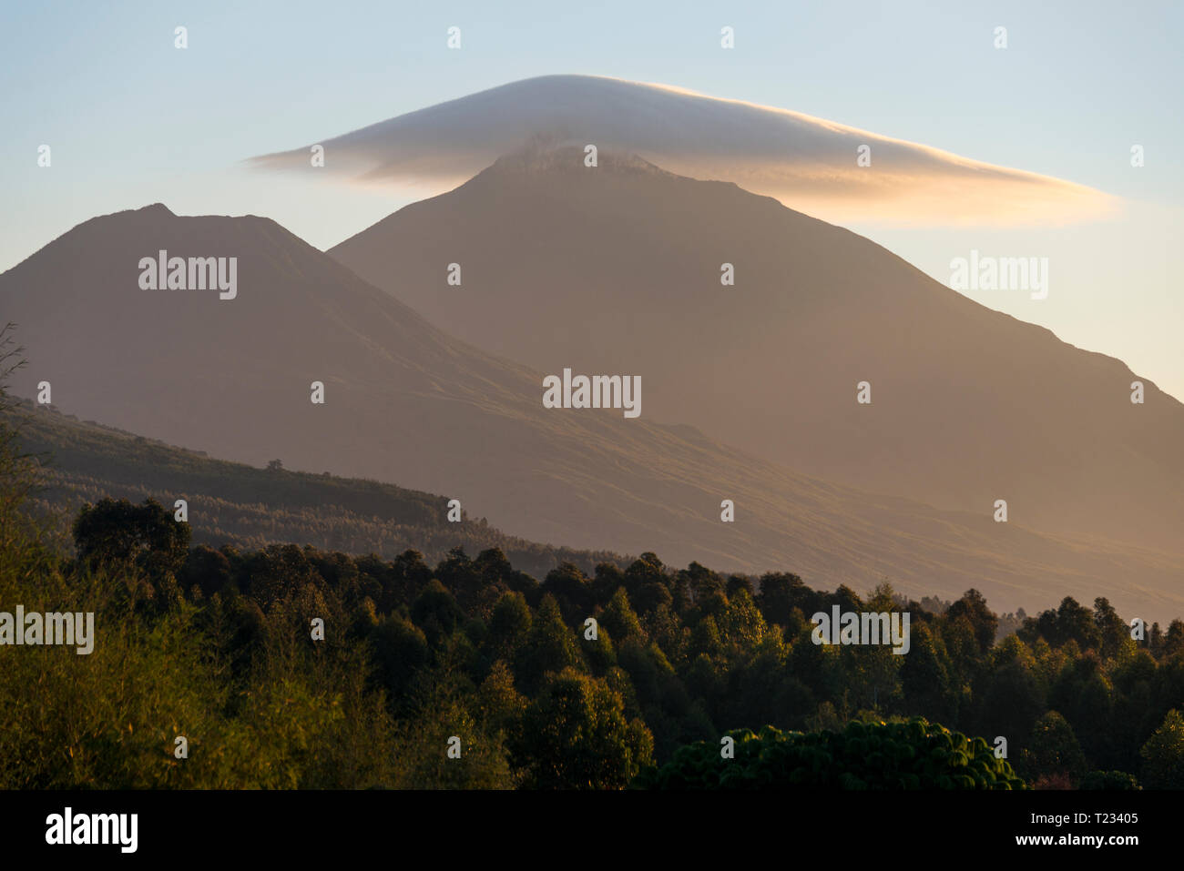 Virunga rwanda hi-res stock photography and images - Alamy