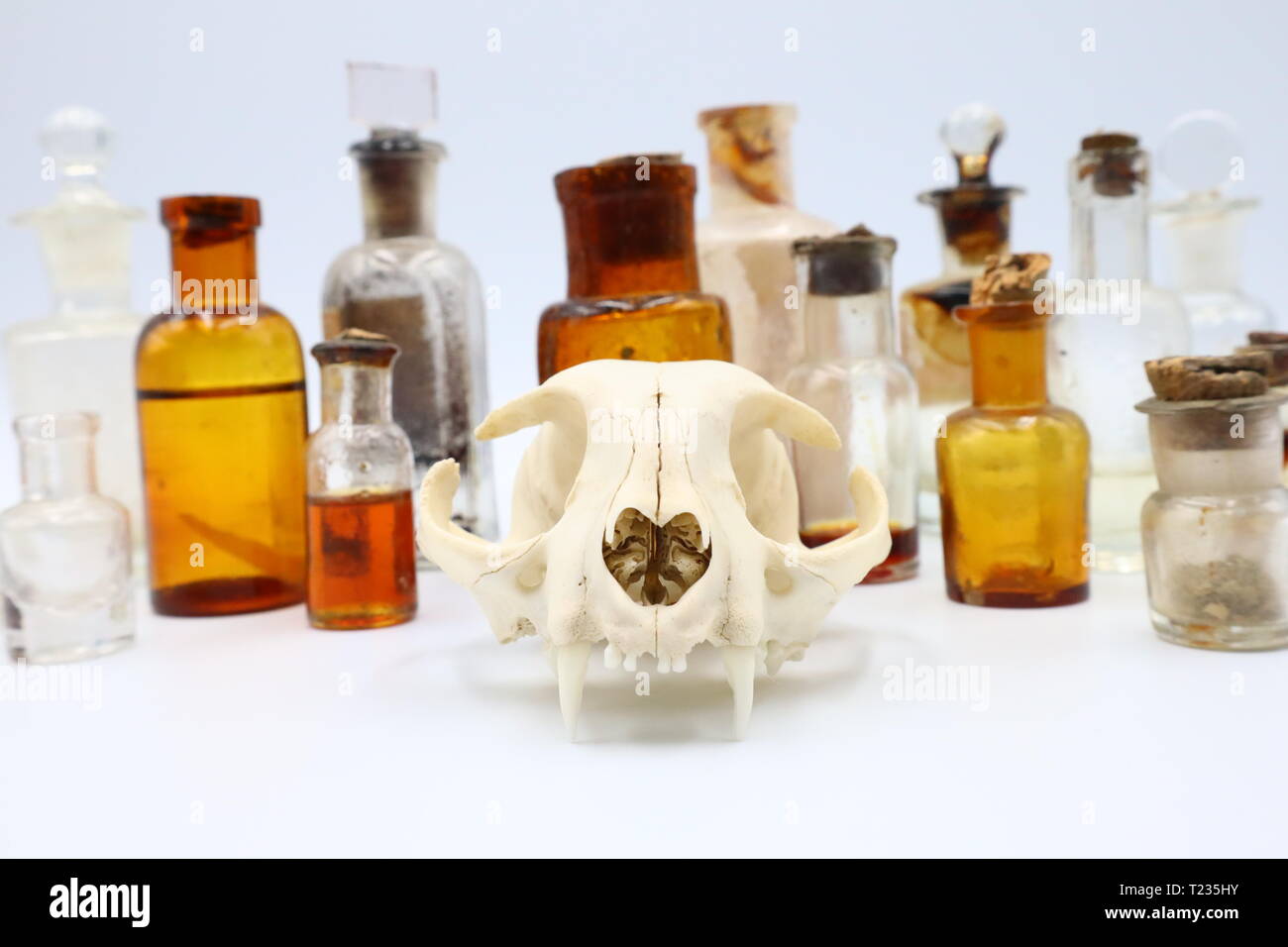 Antique Medicine Bottles, 1800s Victorian Era Stock Photo - Alamy
