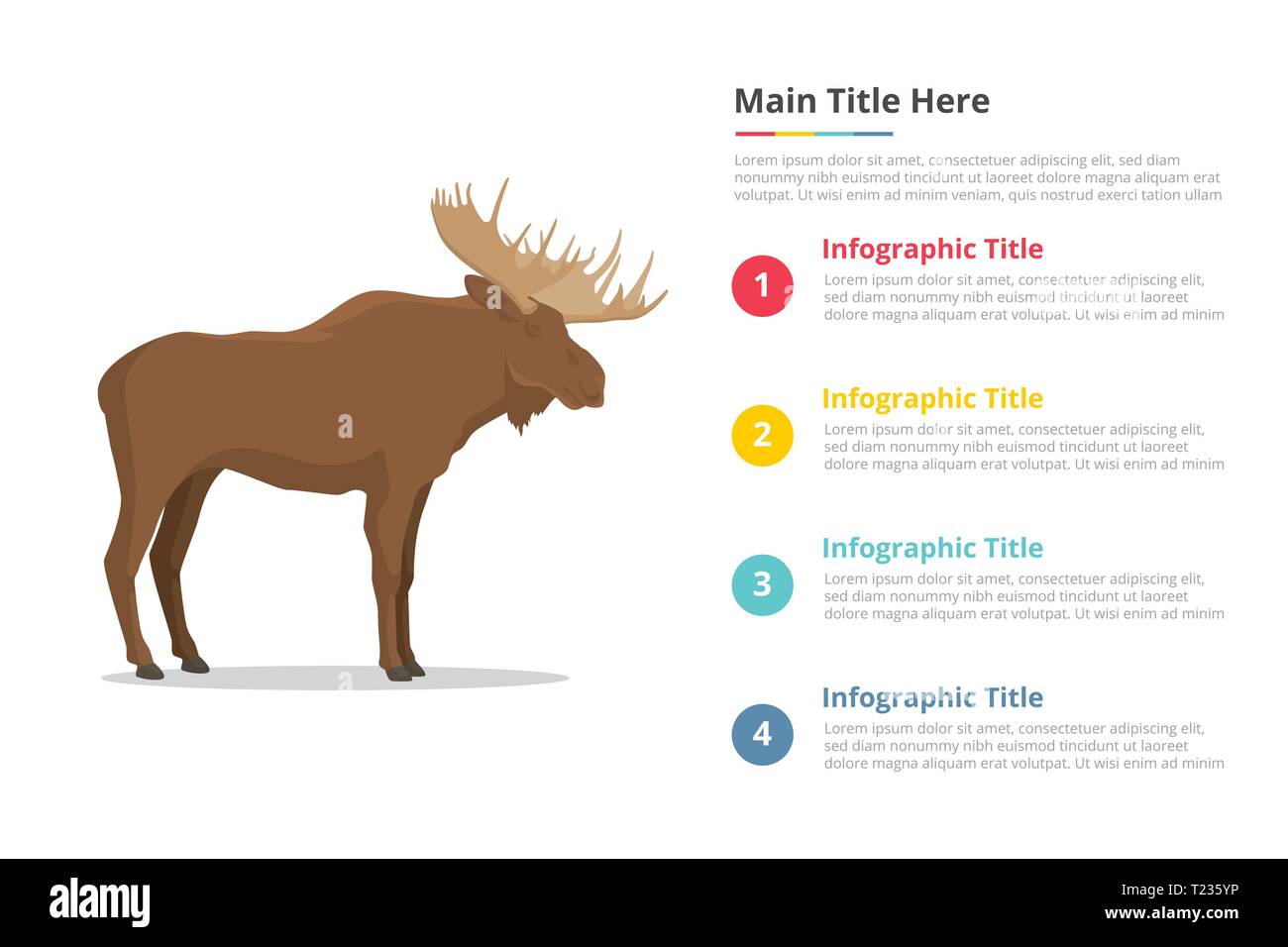 moose infographics template with 4 points of free space text ...