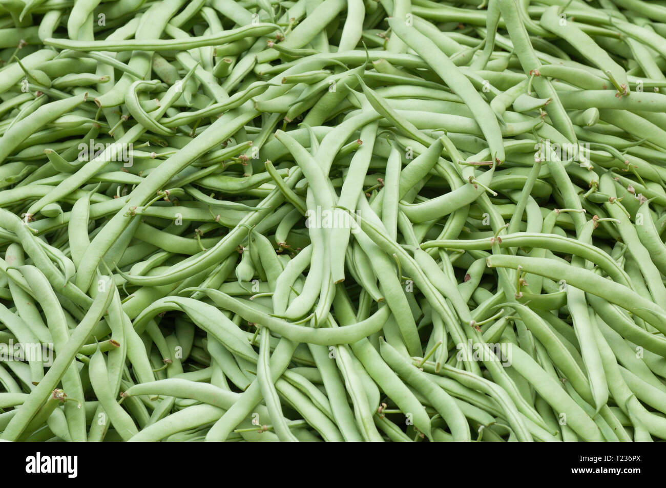 Market farmer beans hi-res stock photography and images - Alamy