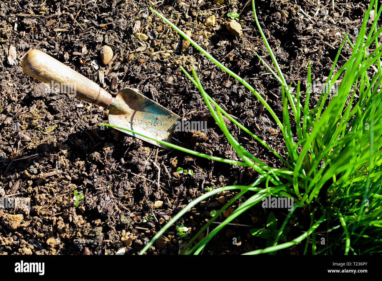 Empty flower bed in a garden ready for planting Stock Photo - Alamy