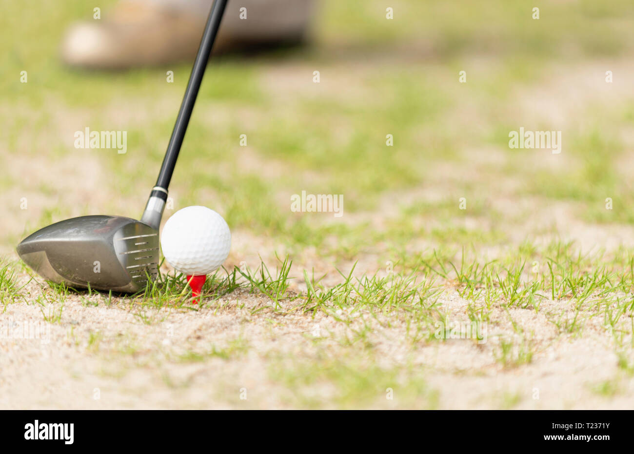 Driver golf club behind a ball on tee. Selective focus, convenient copy ...