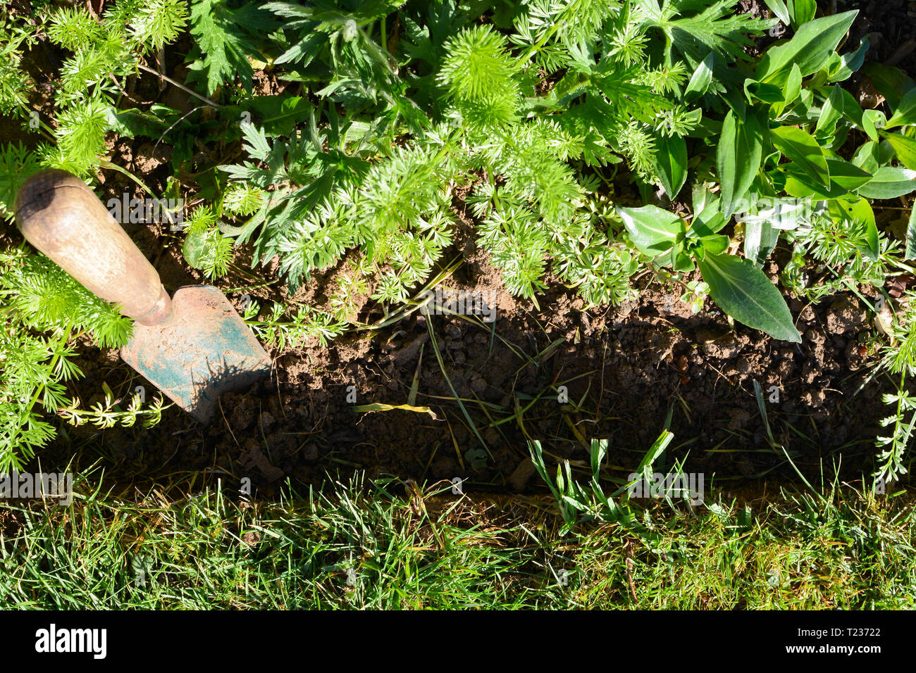 Gardening work tools by a lush green flower bed Stock Photo - Alamy