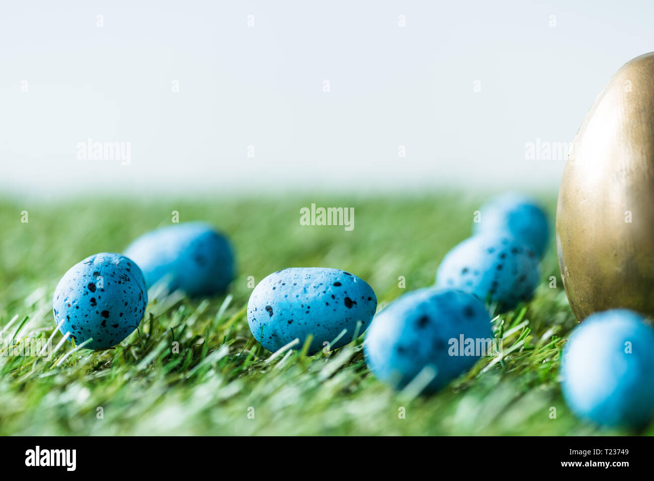 Golden chicken egg hi-res stock photography and images - Alamy
