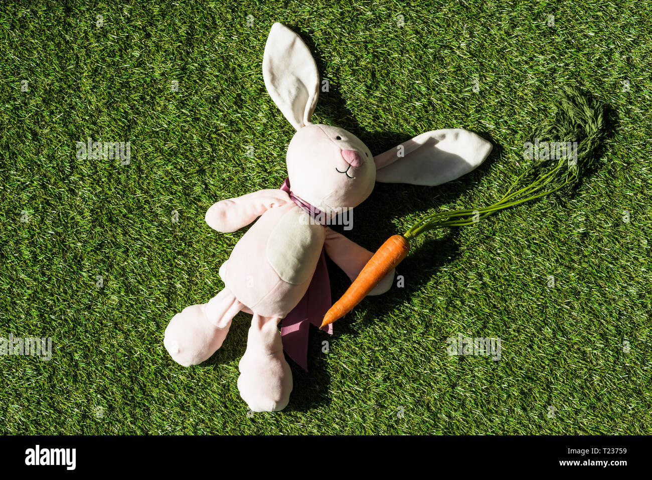 Rabbit carrot grass hi-res stock photography and images - Alamy