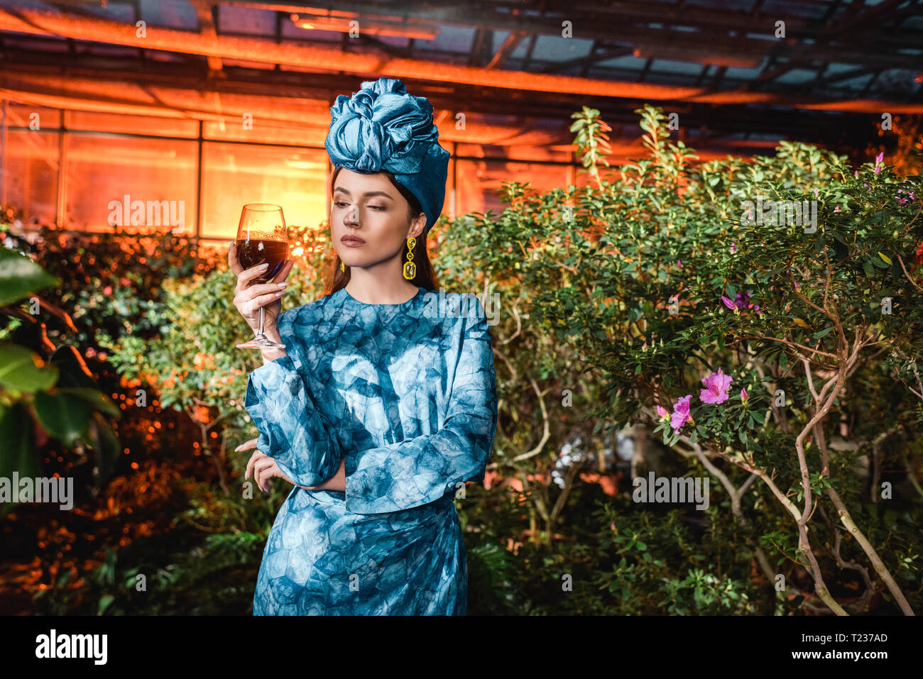 Attractive woman in blue turban holding glass of red wine in orangery ...