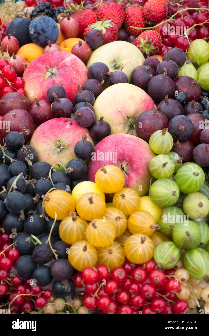 Harvest of fruits hi-res stock photography and images - Alamy