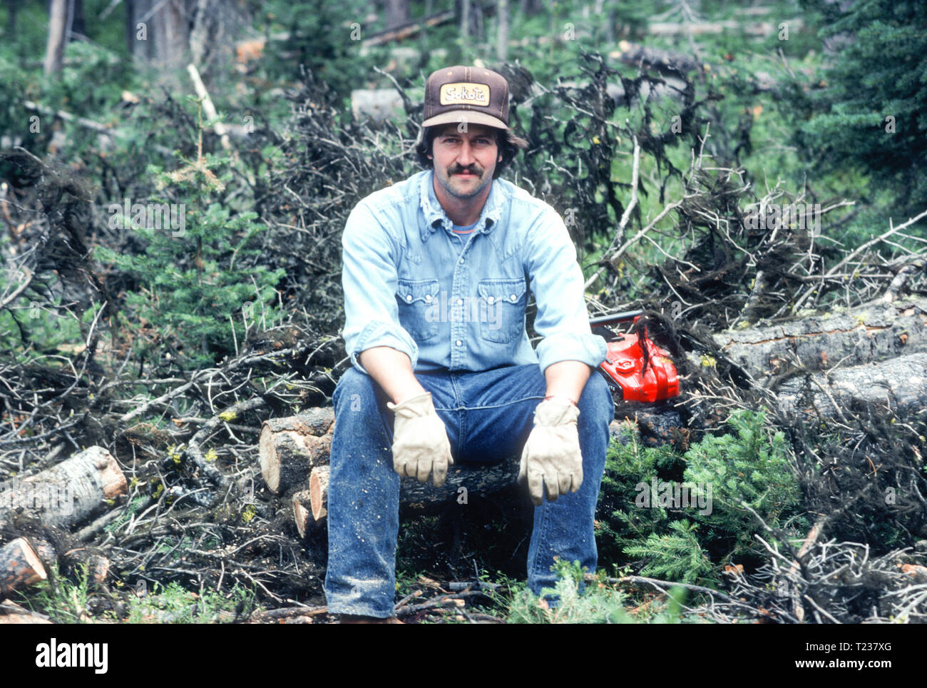 Logging 1970s hi-res stock photography and images - Alamy