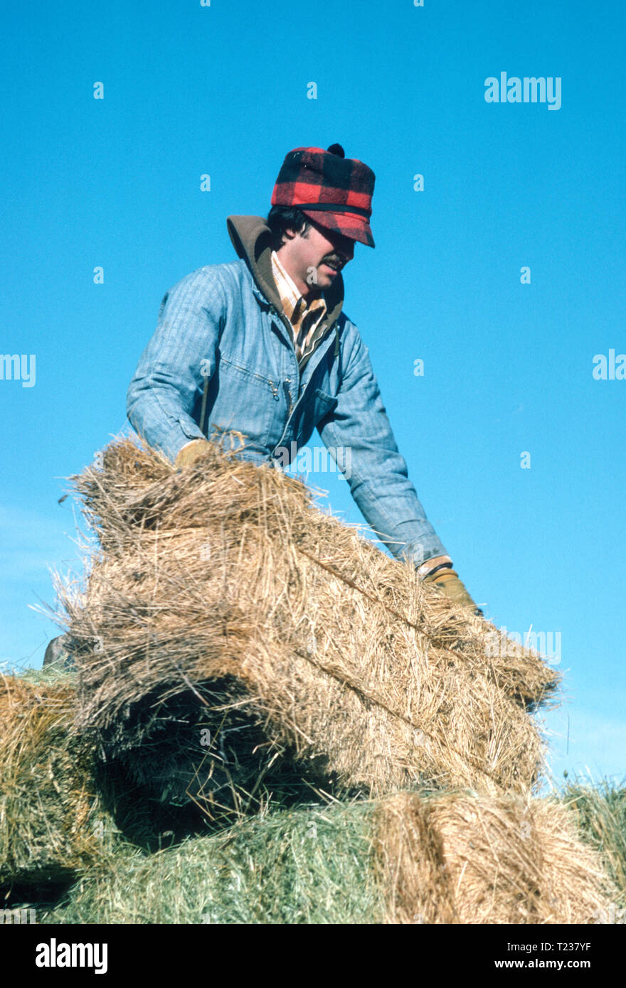 American ranch 1970s hi-res stock photography and images - Alamy