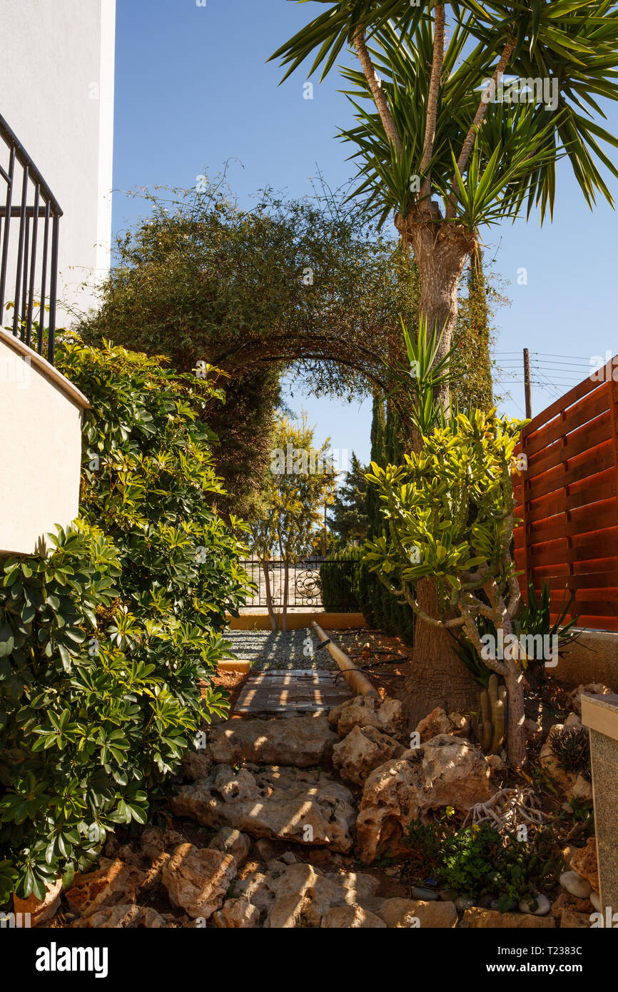 Cyprus trees backyard hi-res stock photography and images - Alamy