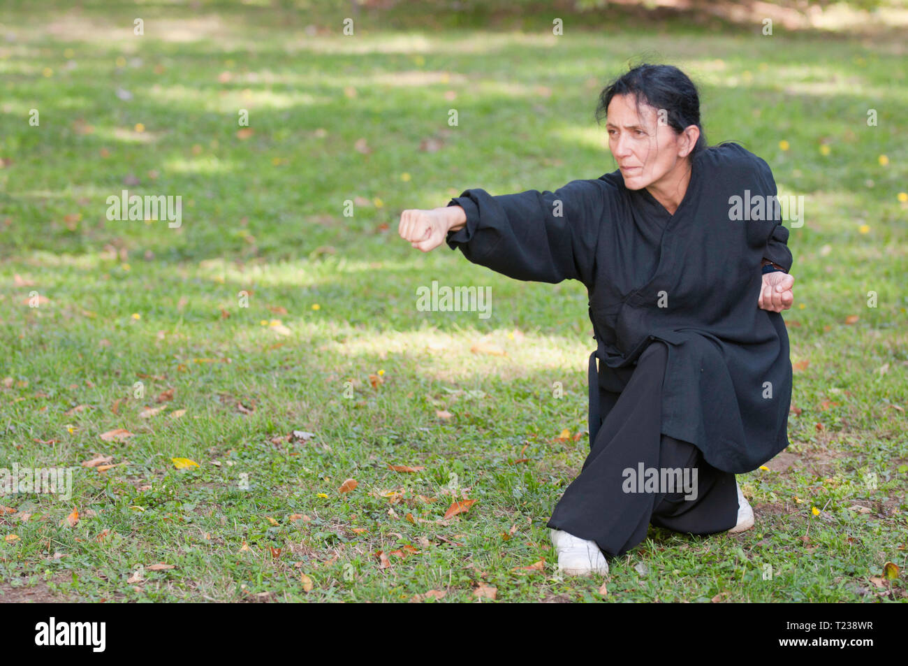 Kung fu fighting hi-res stock photography and images - Alamy