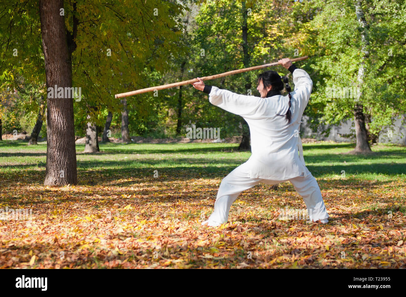 Kung fu fighting hi-res stock photography and images - Alamy