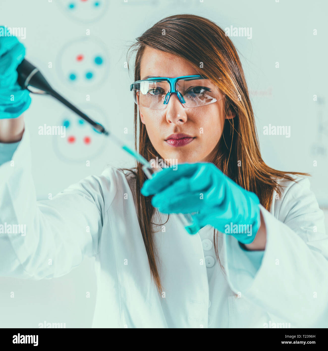 Life science research. Technician using micropipette Stock Photo - Alamy