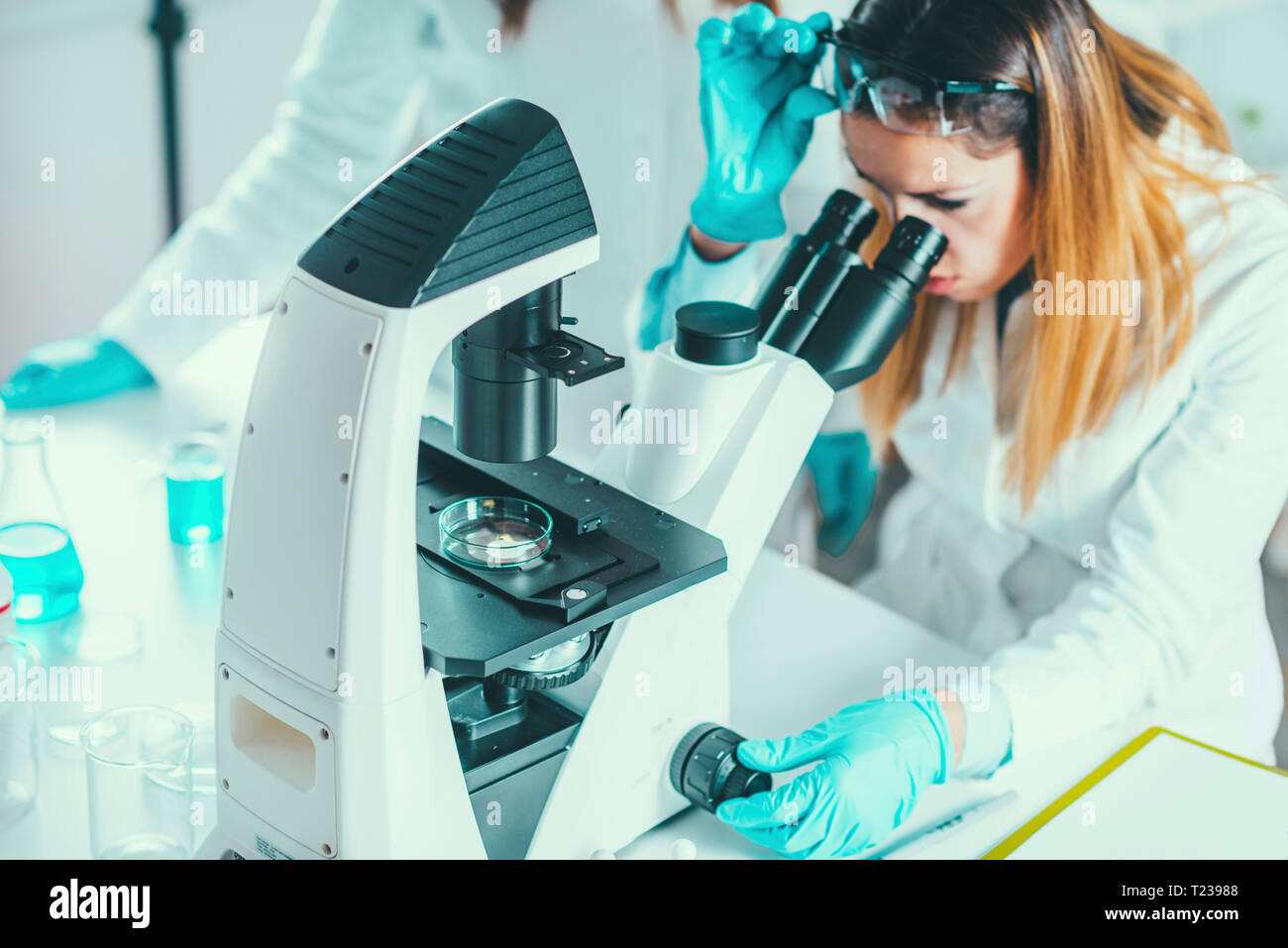 Life science research, placing sample under the microscope Stock Photo ...